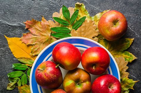 가 어두운 배경 또는 떨어진된 단풍과 잘 익은 빨간 사과의 프레임 텍스트 또는 사진에 대 한 프레임입니다 가 또는 작물에 대 한 기사에 대 한 적용 가능 합니다 가을에 대한