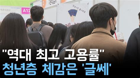 역대 최고 고용률 청년층 체감은 글쎄 Youtube