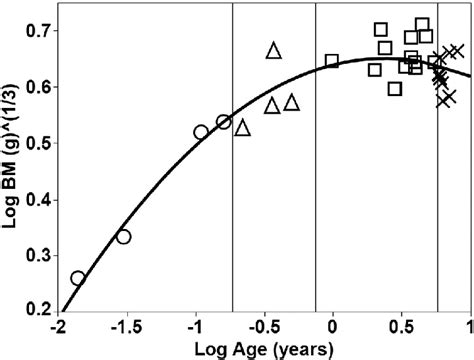 bivariate plot of log bm g 1 3 regressed against log age legend