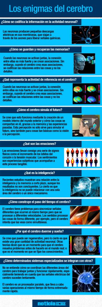 Los Enigmas Del Cerebro Invdes