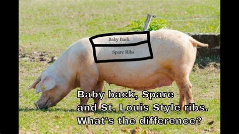 What S The Difference Between Baby Back And St Louis Ribs YouTube