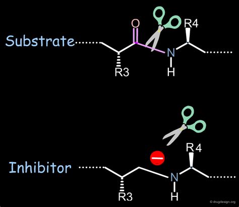 Principles Of Structure Based Design Drug Design Org
