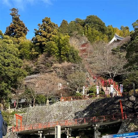 新年明けましておめでとうございます。 ブログ 大阪市の介護施設なら入居相談室 むすぶ