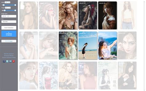 Bulk Image Downloader
