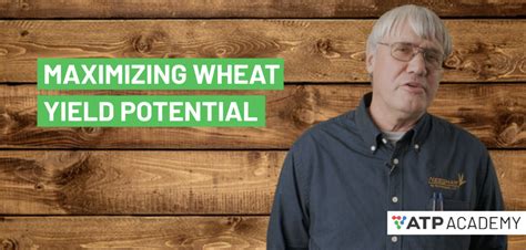 maximizing wheat yield potential atp academy