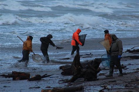 На пляж в Мелнраге волны выбросили ящик со снарядами времен ВМВ Delfi Ru