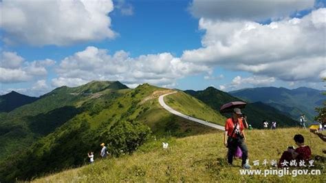 平利县举办第三届正阳高山草甸国际旅游帐篷节 平利县人民政府