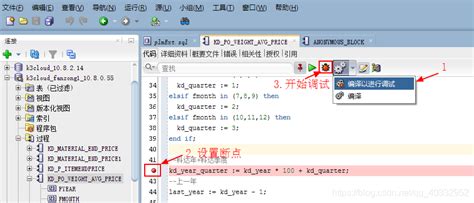 Oracle Sql Developer存储过程debugoracle Debug存储过程权限 Csdn博客