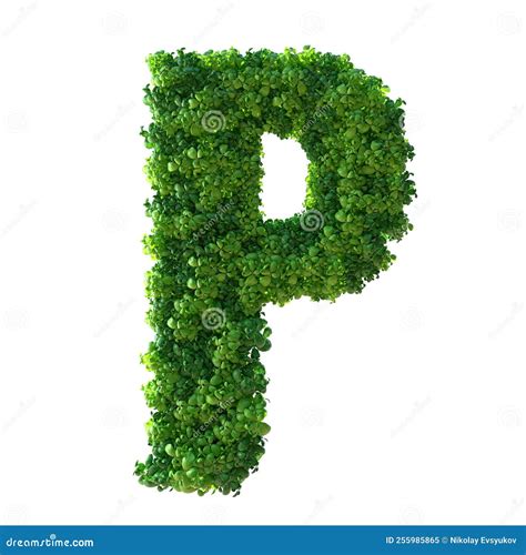 3d Alphabet Letter P Green Plant Leaves Grass Moss Basil Mint
