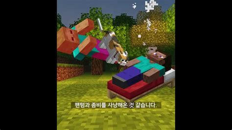 마인크래프트 고양이에 대한 10가지 사실 Youtube