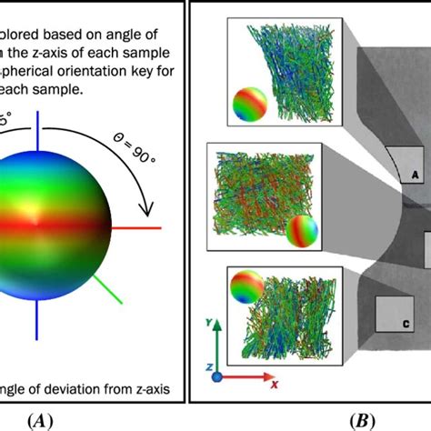 A Key To Reading Fiber Orientation Sphere And B Ct Scans From Each Download Scientific