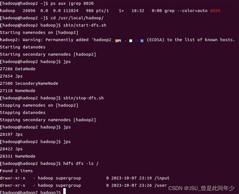 Hadoop使用hdfs指令查看hdfs目录的根目录显示被拒的原因及解决方案java脚本之家
