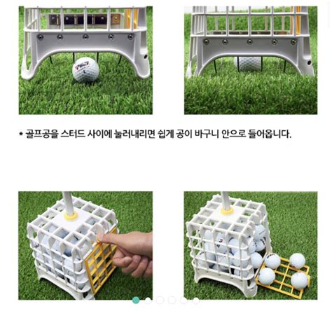 이런 거 써보신 분 골프공 회수기 픽업기 회수주머니 골프포럼 딜바다닷컴