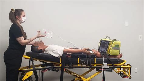 Basic Life Support Cpr Mississauga Brampton Toronto Para Cpr