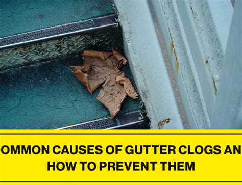 Downspout Vs Gutter Understanding The Key Differences