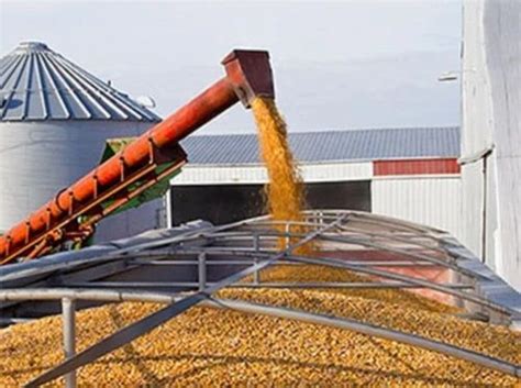 Ms Rubber Material Handling Belt Conveyor For Industrial Capacity 100 Kg Feet At Rs 100000