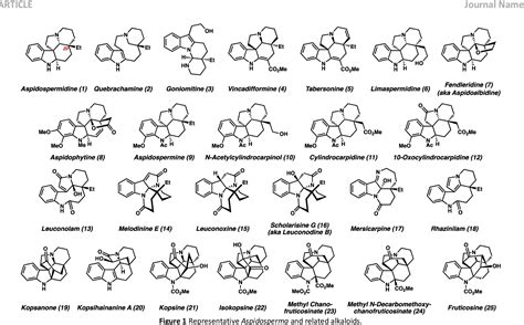 Figure 1 From Enantioselective Palladium Catalyzed Allylic Alkylation
