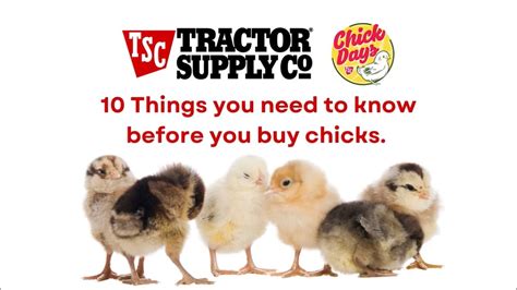 Tractor Supply Company Code Of Ethics At Joyce Hartmann Blog