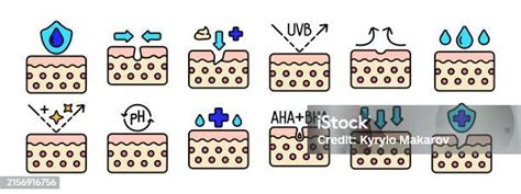 스킨 케어 세트 아이콘입니다 수분보호막 각질제거 Uvb보호 진정 보습 Ph밸런스 Aha Bha트리트먼트 안티에이징 딥흡수 피부