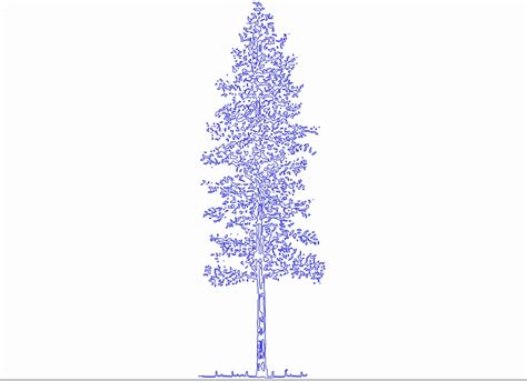 Eucalyptus In Autocad Cad Download 113 02 Kb Bibliocad