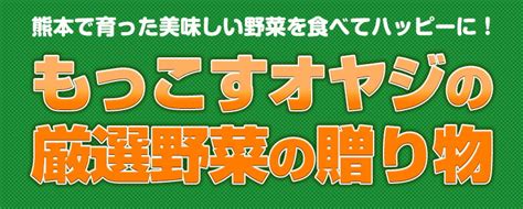 【楽天市場】野菜セット 送料無料 気まぐれ野菜増量中！もっこす野菜セット 野菜7種熊本県産 名物！パプリカのおまけ付！：ドキッとくまもと