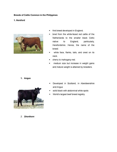 Breeds Of Cattle Common In The Philippines Hereford First Breed