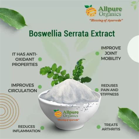 Boswellia Serrata Salai Guggul Herbal Extracts Manufacturer And