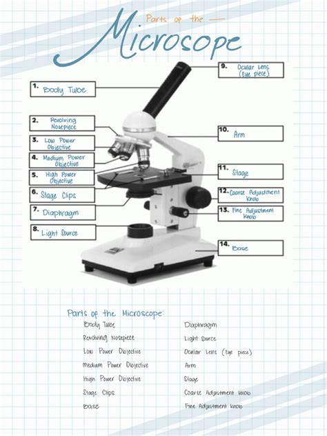 Microscope Labelling Pdf