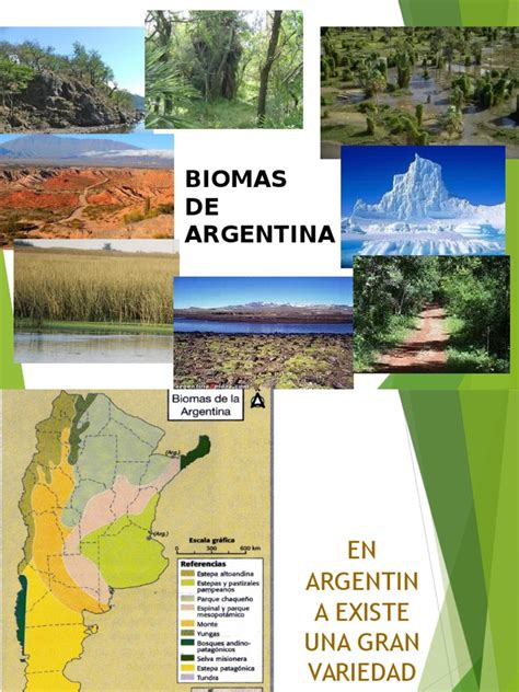 Biomas De Argentina Pdf