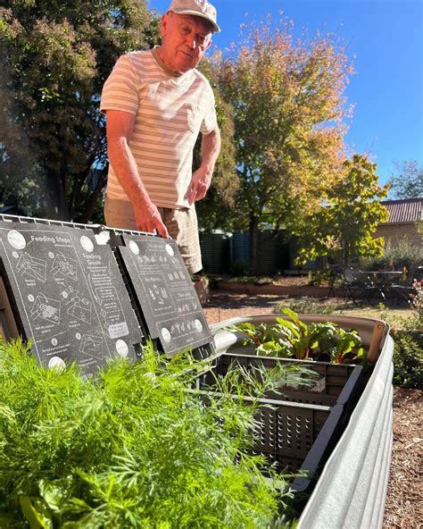 A More Grounded Kind Of Worm Farm — Yimby Compost