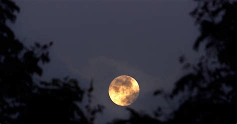 Mumbai Daily Mooning