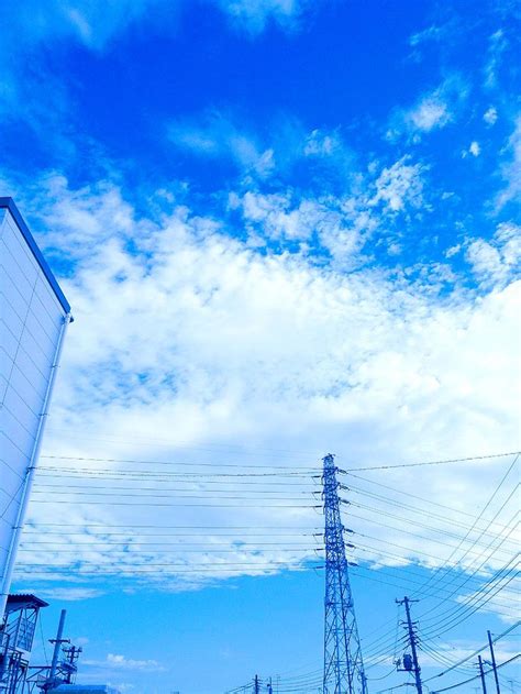 Tweet Multimediali Di Dnd Dandelion Twitter Sky Building Landmarks