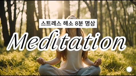 마음이 평온해지는 명상 가이드 Feat Clova Dubbing Youtube