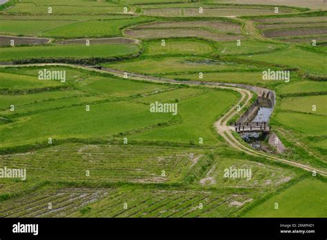 Japan Kyushu View Of Farmland By Tashibu No Sho Village Kunisaki