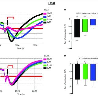 A Representative Electrical Impedance Measurements Of The Download Scientific Diagram