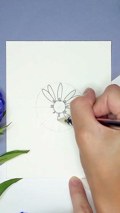 How To Draw A Flower Aster Flowerdrawing Flower Drawing Markers Drawing Ideas Aster Flower
