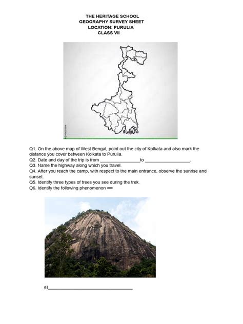 Class 7 Survey Sheet Pdf