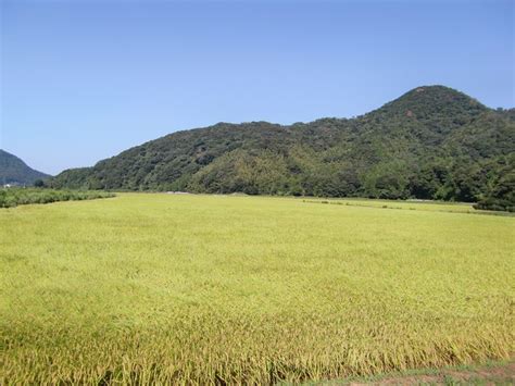 Blog Blog