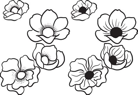 Black And White Flowers Illustration Coloring Page 48880239 Vector Art