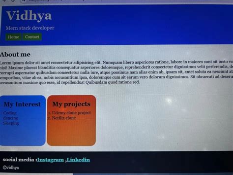 Vidhya M On Linkedin Webdevelopment Portfolio Errormakesclever Emc Html Css