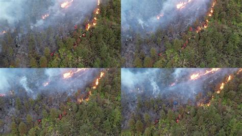 消防员扑救山火现场画面视频素材下载编号10202463光厂vj师网