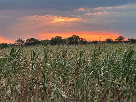 The Darkside Of Ai And Salesforce Addressing The Challenges Of Ai