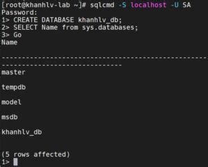H Ng D N C I T Sql Server Tr N Linux Nhan Hoa Knowledgebase