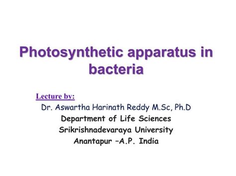 Photosynthesis In Bacteria And Its Types Pptx