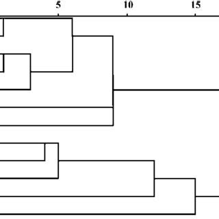 Dendrogram Showing Hierarchical Cluster Analysis Results With A