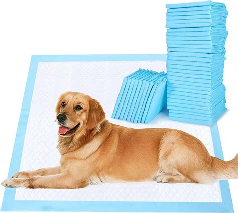 홈 제품 세일 아이템 최고 매출 신상품 피드백