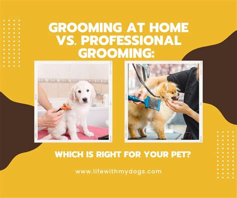 Grooming At Home Vs Professional Grooming