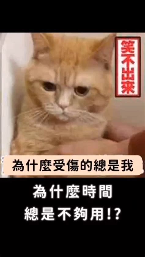 卡位 菁英大學交流團契 🎵流行歌曲・原創音樂・初心故事 活動倒數最後一天！ 帶大家來看看幕後花絮照片 是不是已經迫不及待看正式演出
