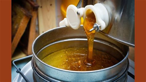 Honey Extraction Workshop N C Cooperative Extension
