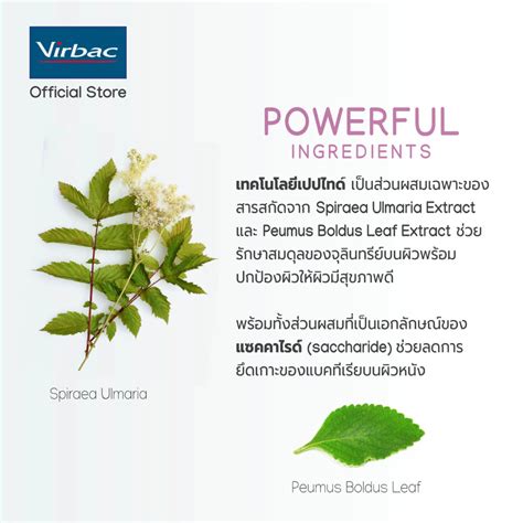 ส่งด่วน Virbac Epi Otic เวอร์แบค น้ำยาเช็ดทำความสะอาดหูสำหรับสุนัขและแมว 125 Ml Shopee